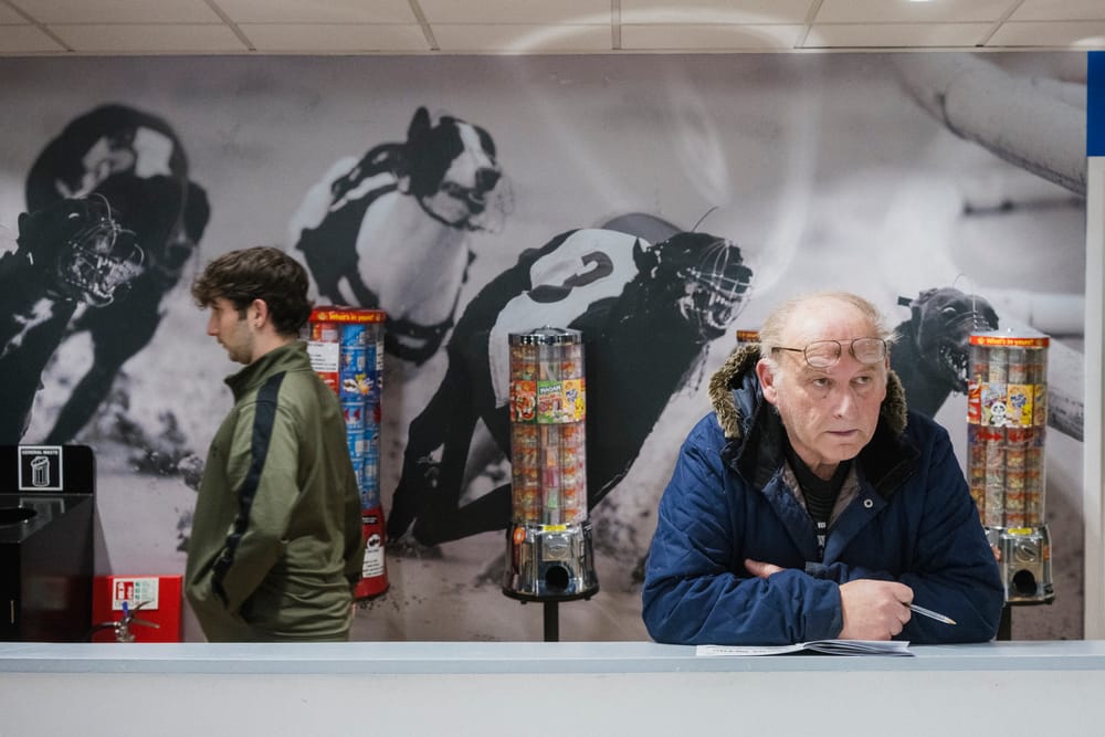 Dog Days At Romford: London’s last surviving greyhound track