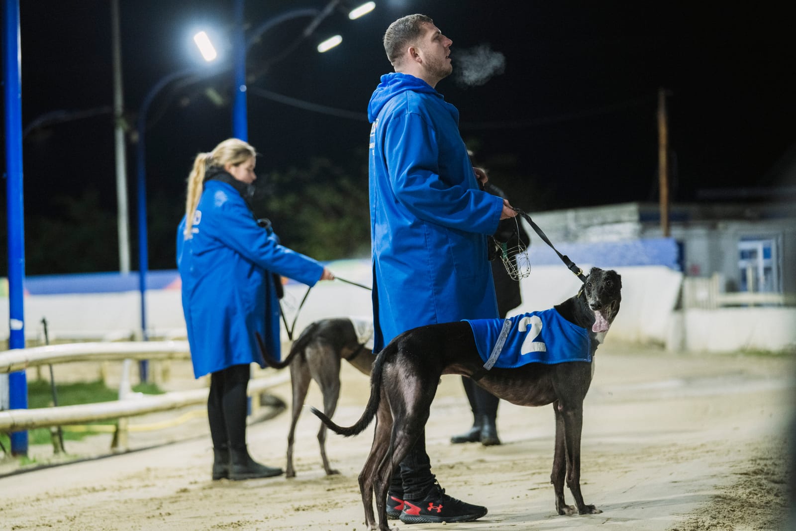 Dog Days At Romford: London’s last surviving greyhound track