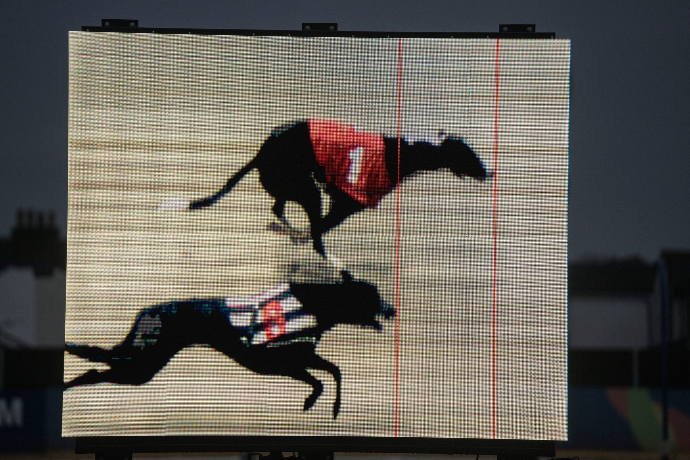 Dog Days At Romford: London’s last surviving greyhound track